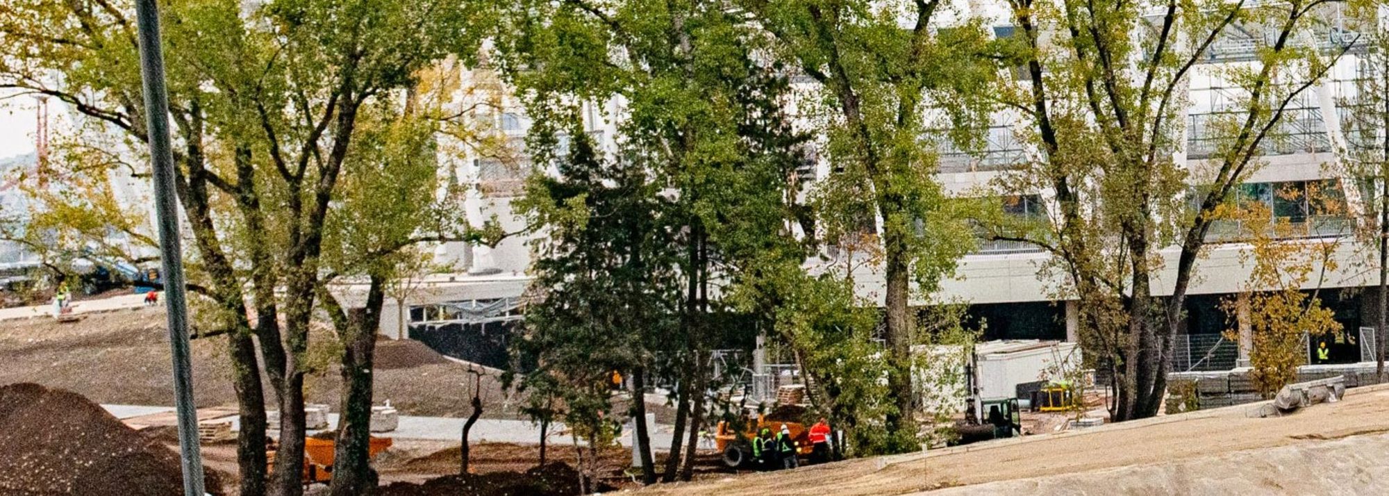 Mass tree planting has begun, the National Athletics Centre park is ...