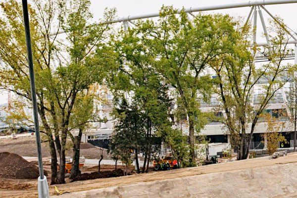 Mass tree planting has begun, the National Athletics Centre park is ...