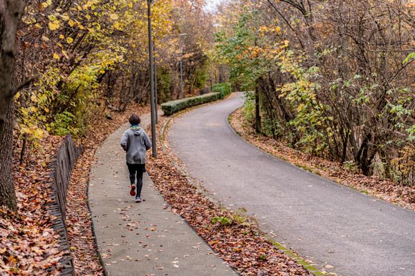 Top running tracks in Budapest: Normafa | News | Budapest 23 | World ...
