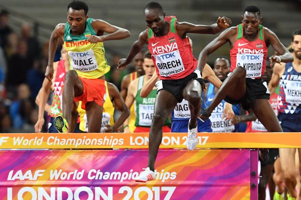 2014 African 3000m steeplechase champion Birech dies | NEWS | World ...