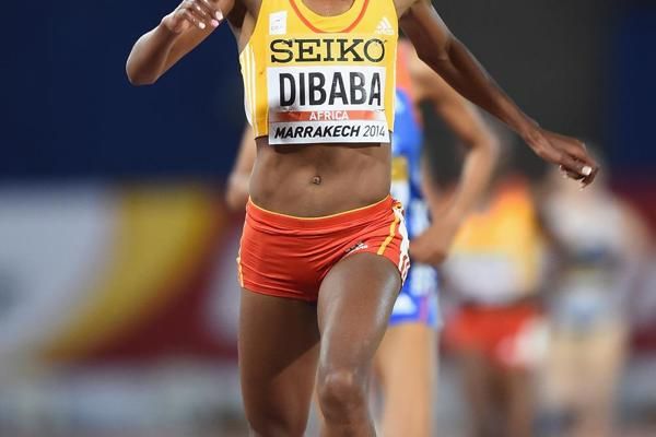 Report: women's 3000m – IAAF Continental Cup, Marrakech 2014 | REPORT ...