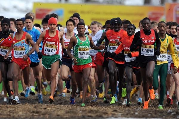 Preliminary entries, course and scoring details – IAAF World Cross ...