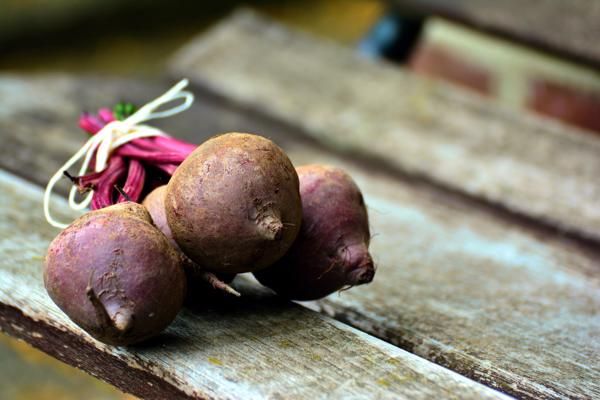 The power of beetroots | PERFORMANCE | World Athletics
